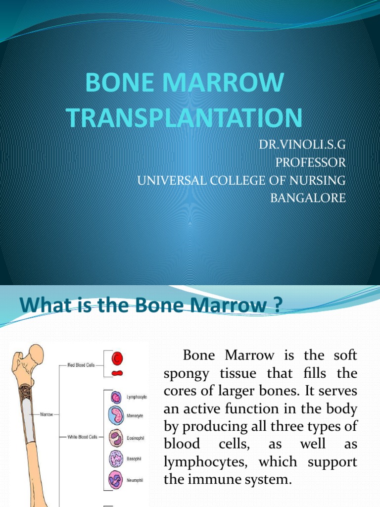Bone Marrow Transplant Overview Pdf Hematopoietic Stem Cell