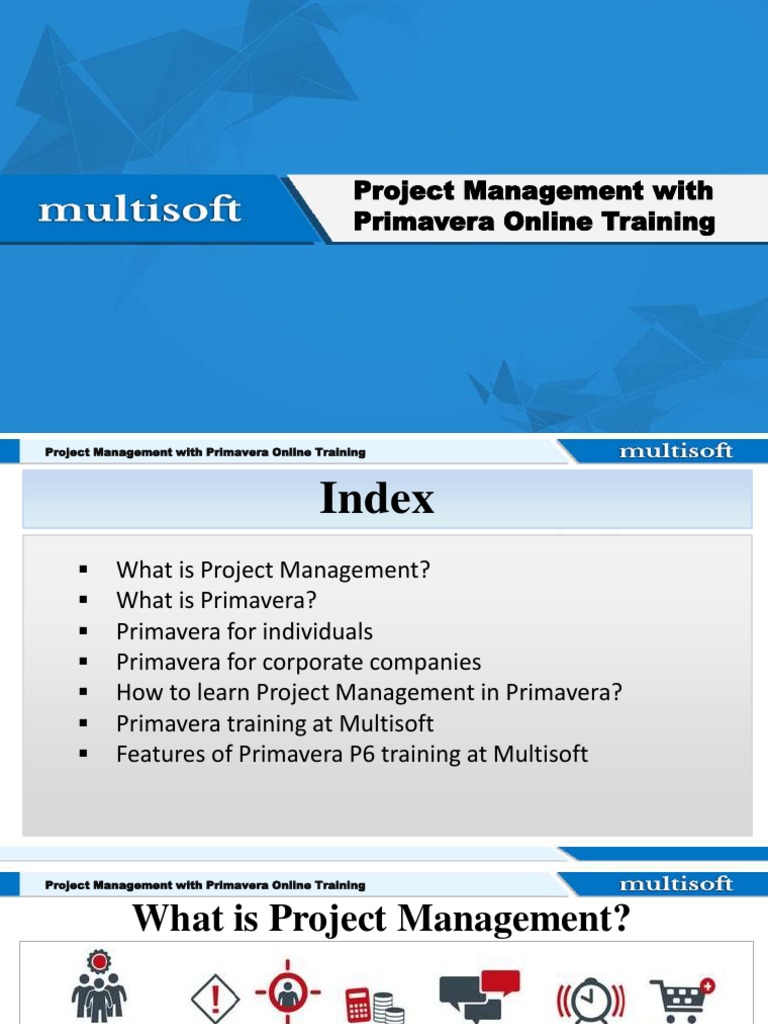 Project Management With Primavera P6 | PDF | Project Management ...