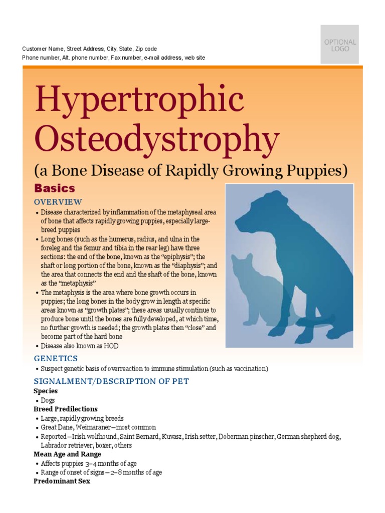 Hypertrophic Osteodystrophy: (A Bone Disease of Rapidly Growing Puppies ...