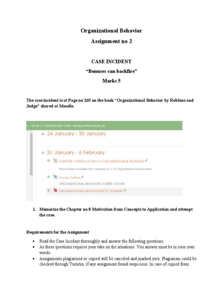 Organizational Behavior Assignment No 2: Case Incident "Bonuses Can Backfire" Marks 5 | PDF
