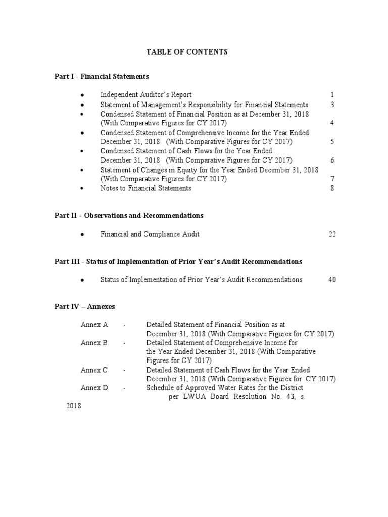 2018 Financial Statements Audit Report | PDF