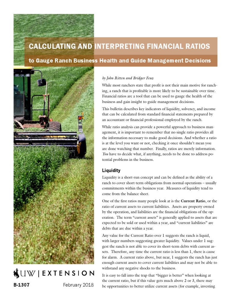 CALCULATING FINANCIAL RATIOS TO GUIDE RANCH MANAGEMENT | PDF | Equity ...