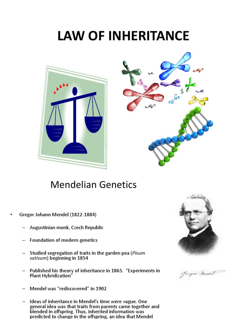 Law of Inheritance and PEDIGREE | PDF | Dominance (Genetics) | Zygosity