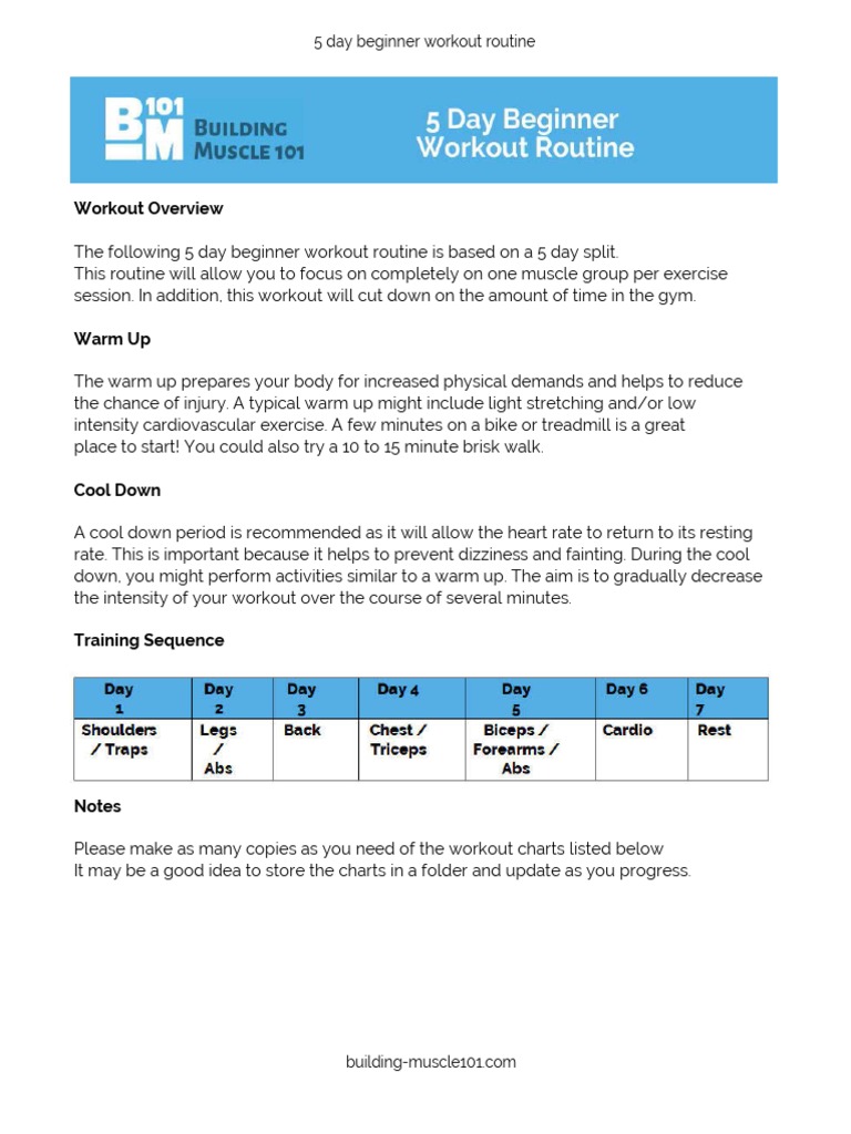 Workout Overview: 5 Day Beginner Workout Routine | PDF | Aerobic ...