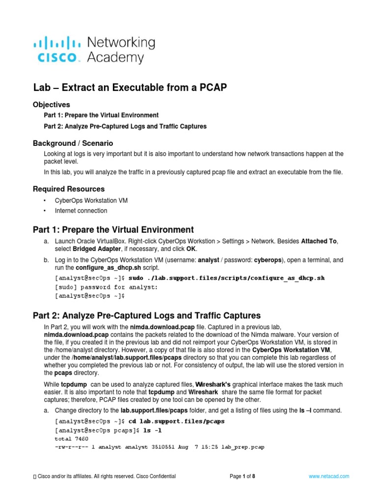 12.2.2.10 Lab | PDF | Transmission Control Protocol | Hypertext Transfer Protocol