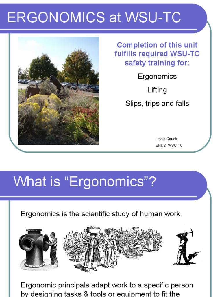A Guide to Ergonomics Training: Reducing Musculoskeletal Risks through ...