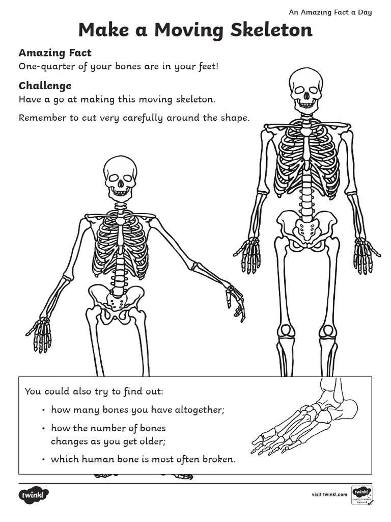 Make A Moving Skeleton: Amazing Fact Challenge | PDF