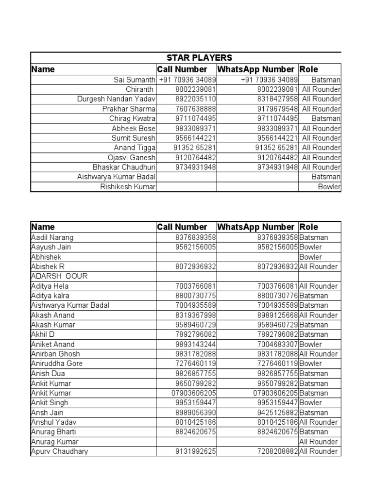 Cricket Team Roster: Player Details for Upcoming Match | PDF | Cricket ...