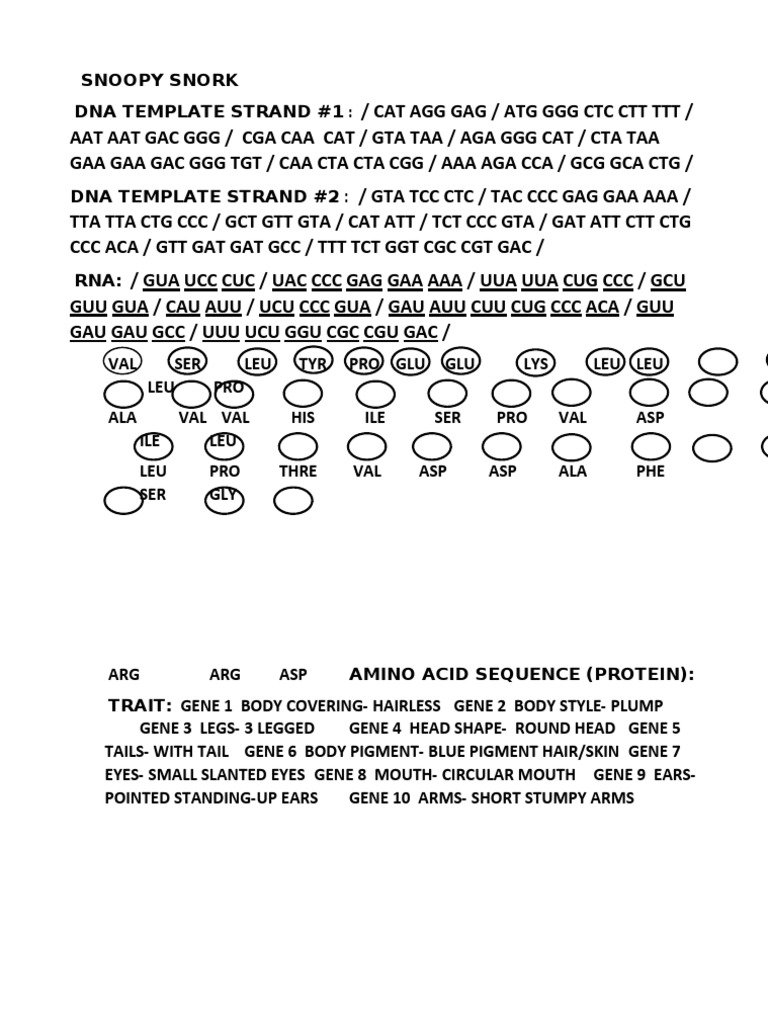 Snoopy Snork: Dna Template Strand #1 | PDF