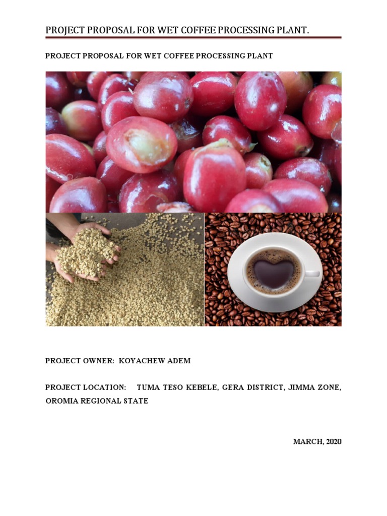 Wet Coffee Processing Business Plan | PDF | Coffee | Economies