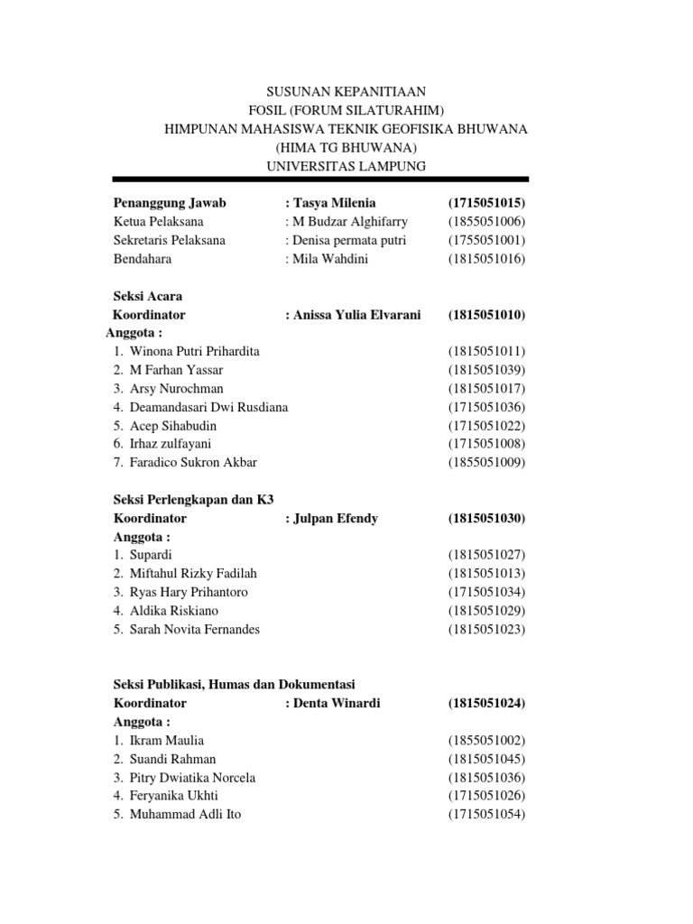 Organizing Committee Structure | PDF