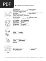Aircraft Ata Chapter List | PDF | Helicopter Rotor | Aircraft