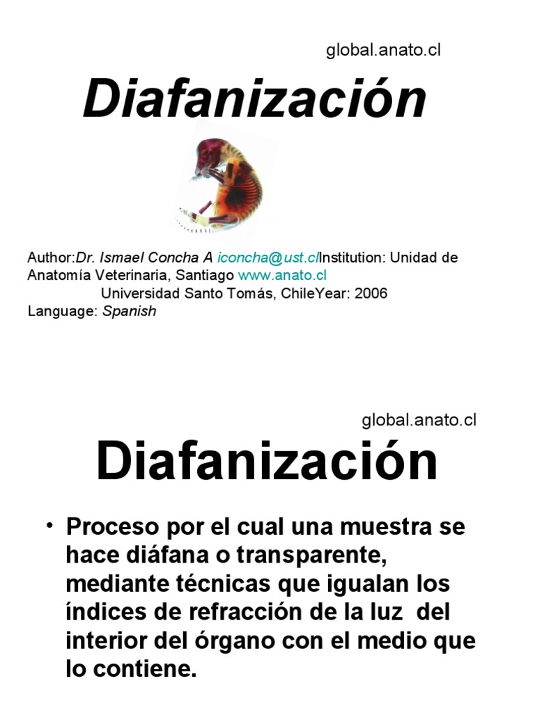 Diafanizacion Pdf