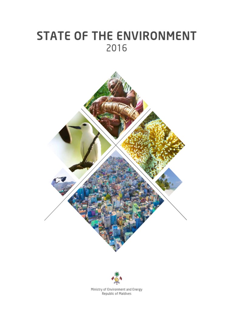 20170202-Pub-State of The Environment 2016 PDF | PDF | Economic Growth ...