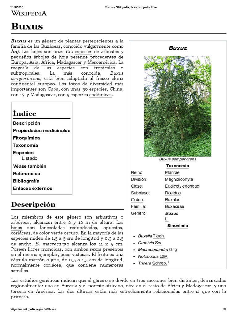 Buxus | PDF | Forma de vida vegetal | Plantas