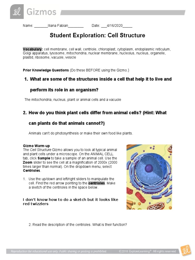 Student Exploration: Understanding Cell Structure Through Analysis of ...