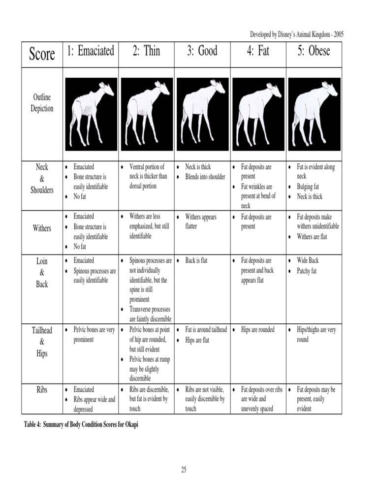 Score: 1: Emaciated 2: Thin 3: Good 4: Fat 5: Obese | PDF | Pelvis ...
