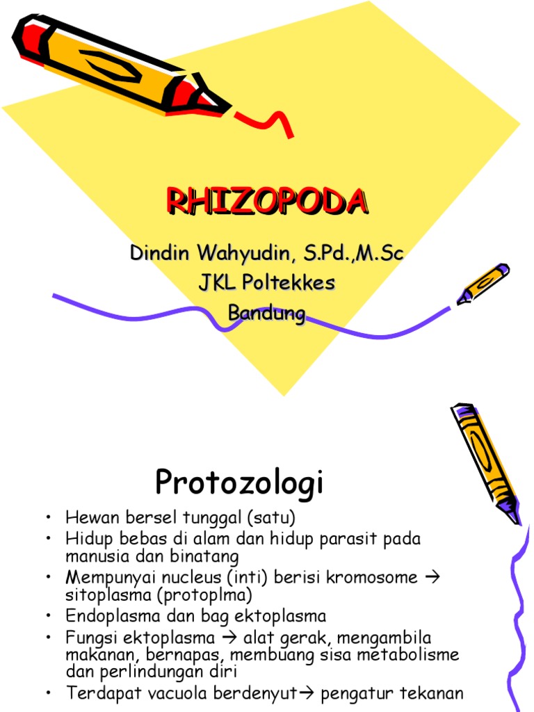 RHIZOPODA | PDF