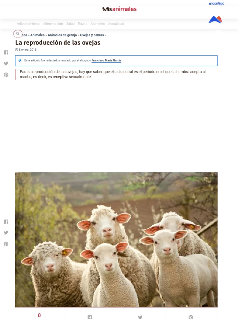La Reproducción de Las Ovejas - Mis Animales PDF | PDF | Oveja | Bienestar