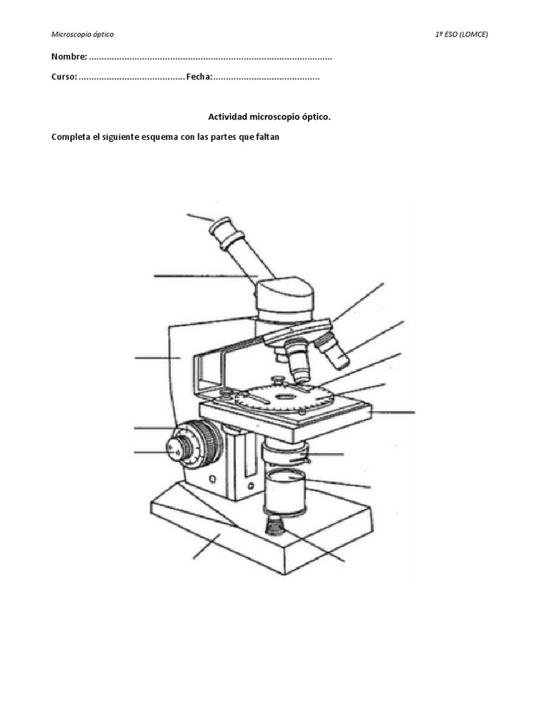 Esquema de Partes del Microscopio | PDF | Tecnología