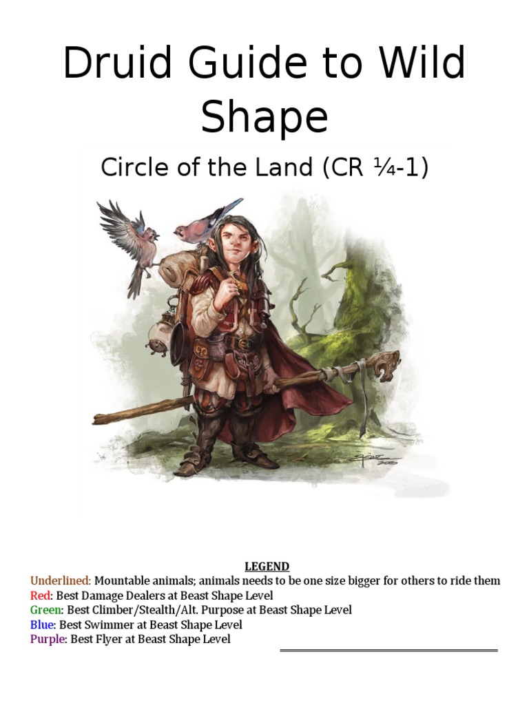 Druid Guide To Wild Shape: Circle of The Land (CR - 1) | Download Free ...