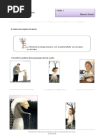 Secuencia Didáctica Hombrecito de Jengibre | PDF