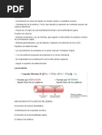 Signo de Godet y Clasificación del Edema | PDF