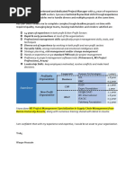 Success Story Template | PDF