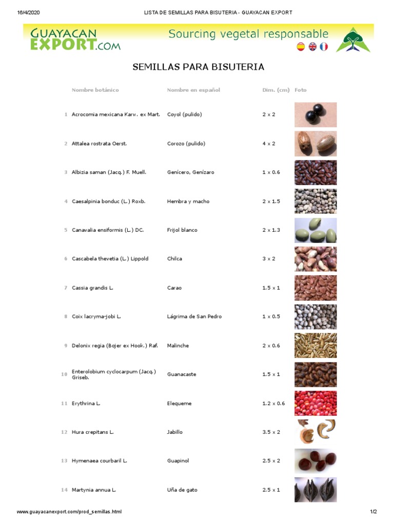 Lista de Semillas para Bisuteria - Guayacan Export | PDF | Plantas | Arboles