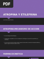 Inserto Esfinto Plus | PDF | Medicina CLINICA | Especialidades Medicas