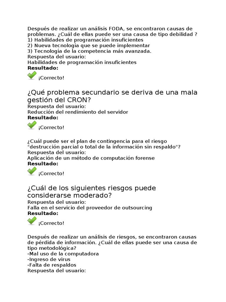 Nivel 2 Leccion 4 | PDF | Usuario (informática) | Outsourcing