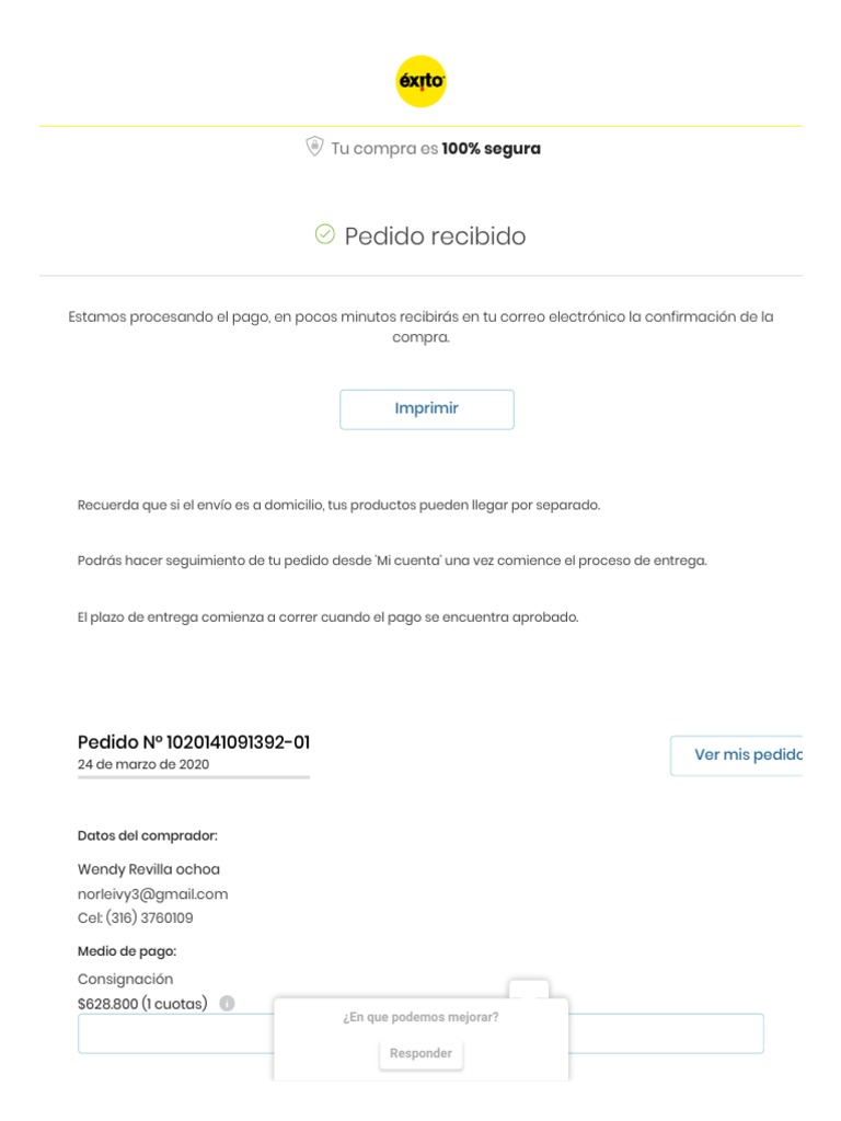 Pedido Recibido | PDF