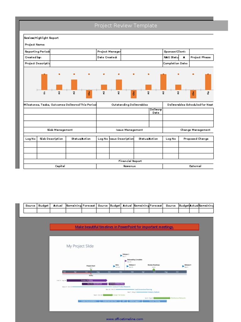 Excel Project Review Template | PDF | Computing | Software