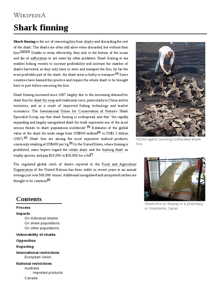 Shark Finning PDF | PDF | Sharks | Fish