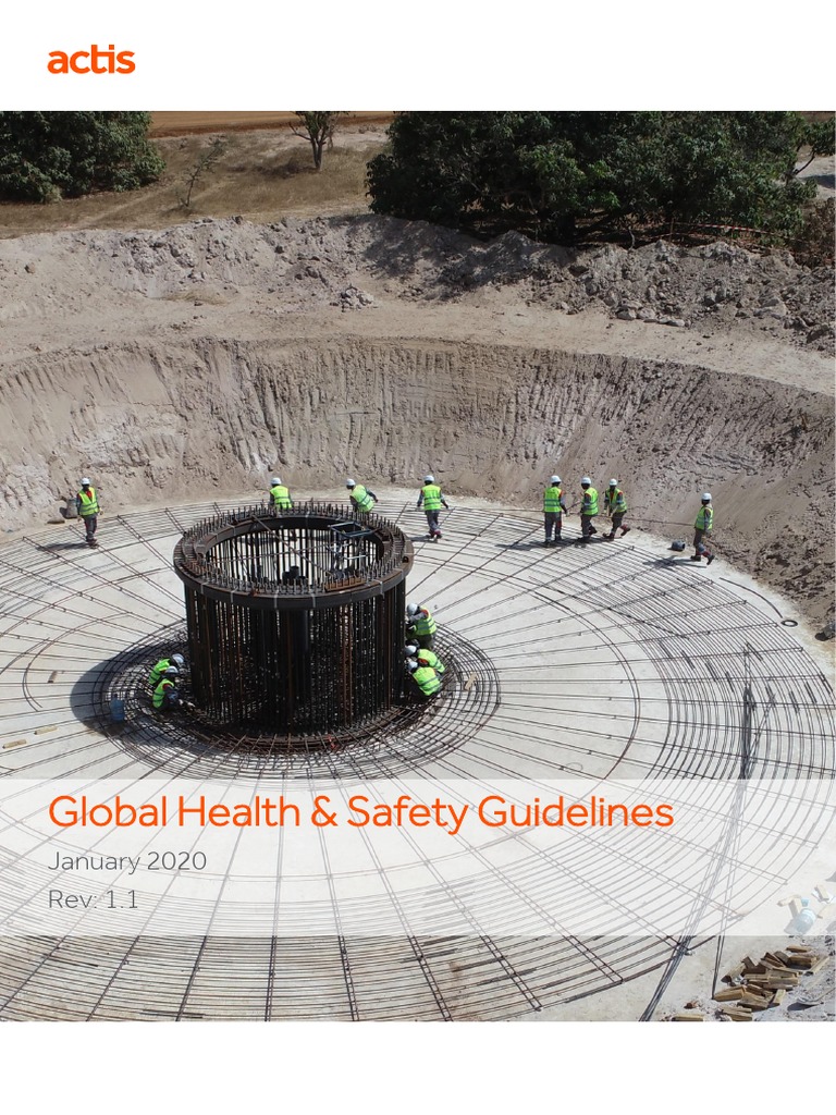 Actis OHS Guidelines | PDF | Occupational Safety And Health | Risk ...
