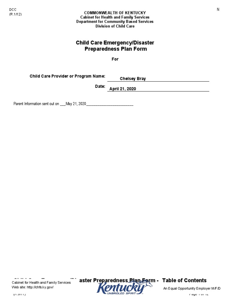 Child Care Emergency/Disaster Preparedness Plan Form | PDF | Emergency ...