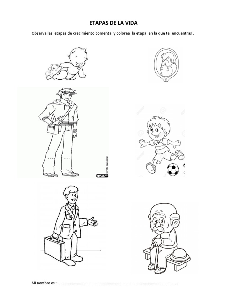 Ficha ETAPAS DE LA VIDA para Niños | PDF