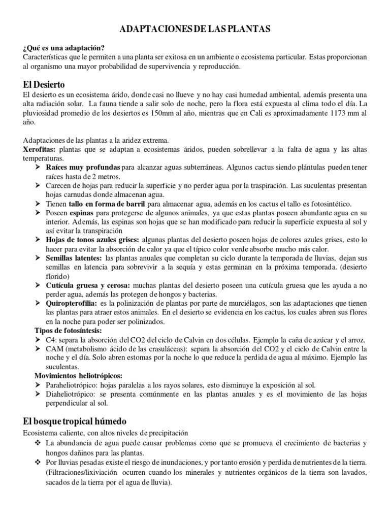 Adaptaciones de Las Plantas-Ecosistemas | PDF | Hoja | Raíz