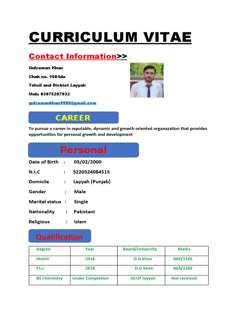 Curriculum Vitae1 | PDF