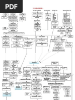 OK Tabel BB Dan TB Menurut WHO NCHS | PDF