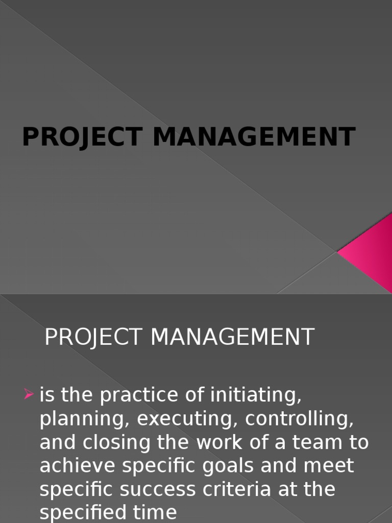 Project Management | PDF