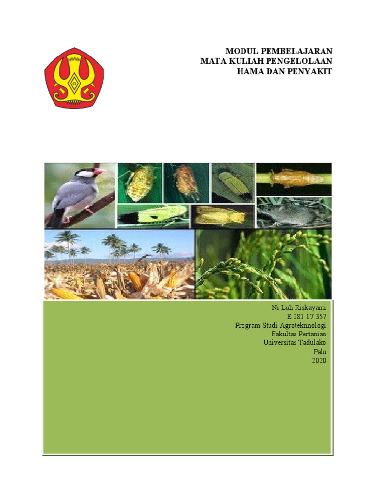 Modul Pembelajaran PHPT | PDF | Pengembangan Diri