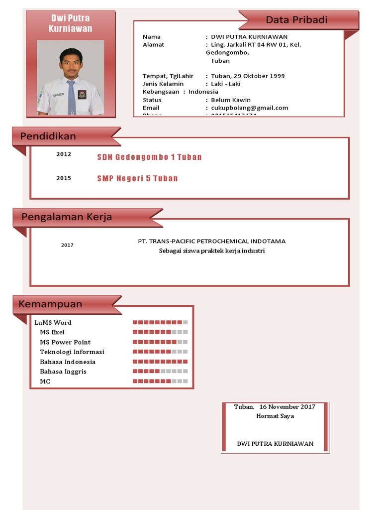 Contoh Curicullum Vitae | PDF