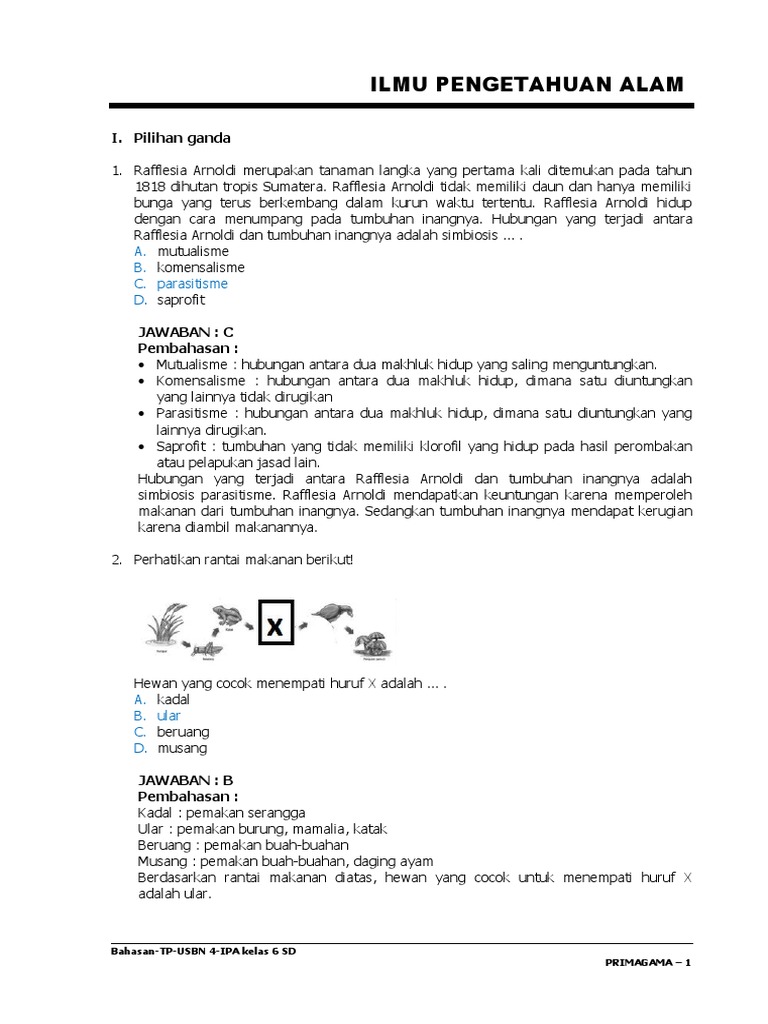 Bahasan Ipa | PDF | Griya & Taman | Sains & Matematika