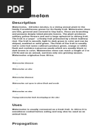 Watermelon Farming Guide | PDF | Watermelon | Soil