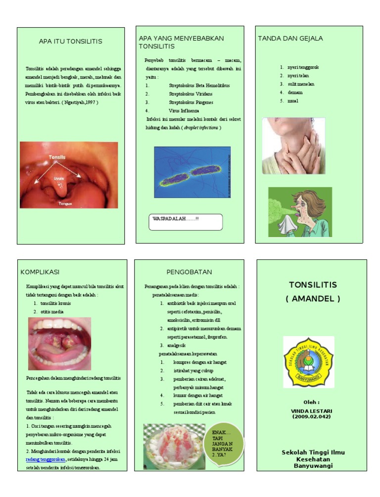 Leaflet Tonsil | PDF