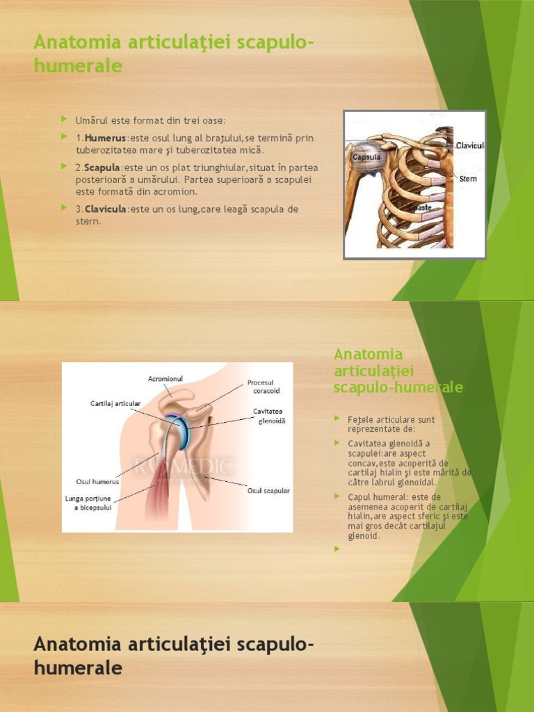 Articulatia Scapulo Humerala | PDF