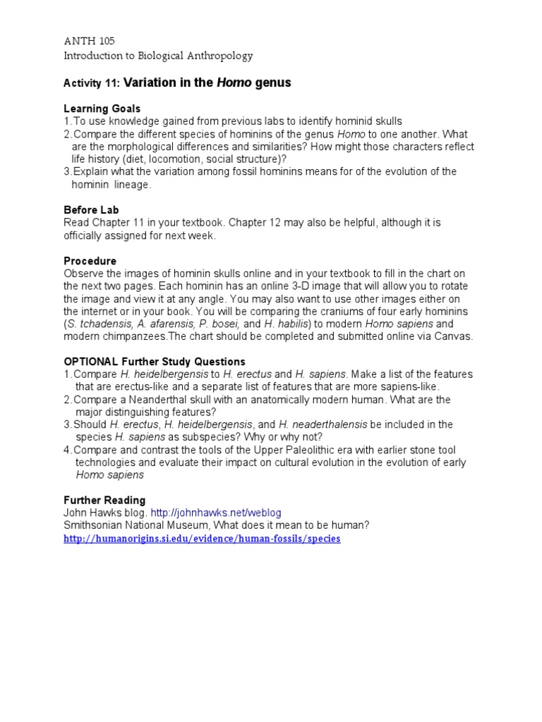 Anthropology Lab: Homo Genus Variation | PDF | Homo | Hominidae