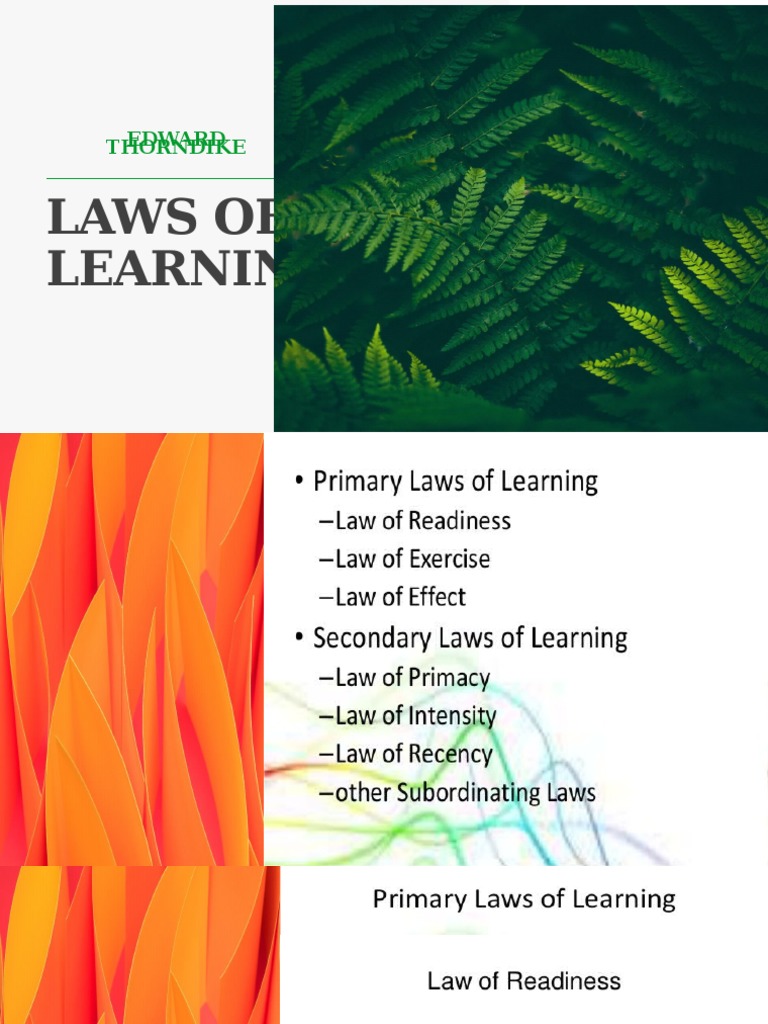 Laws of Learning: Edward Thorndike | PDF