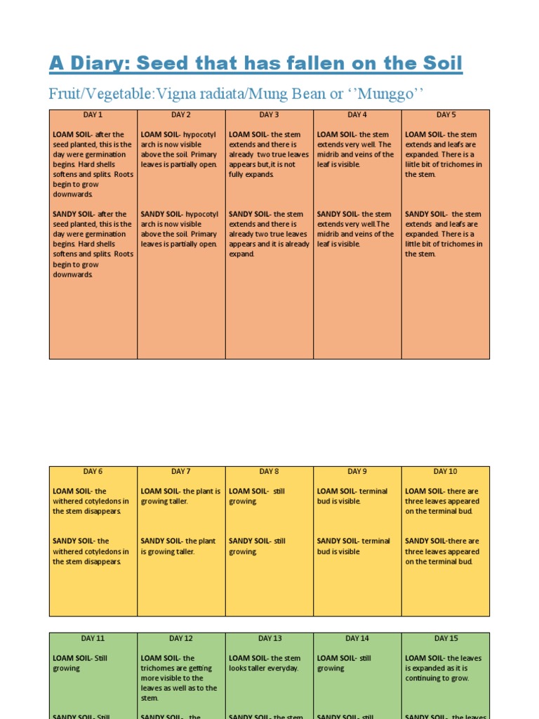 A Diary of Mung Bean Plant | PDF | Leaf | Agronomy